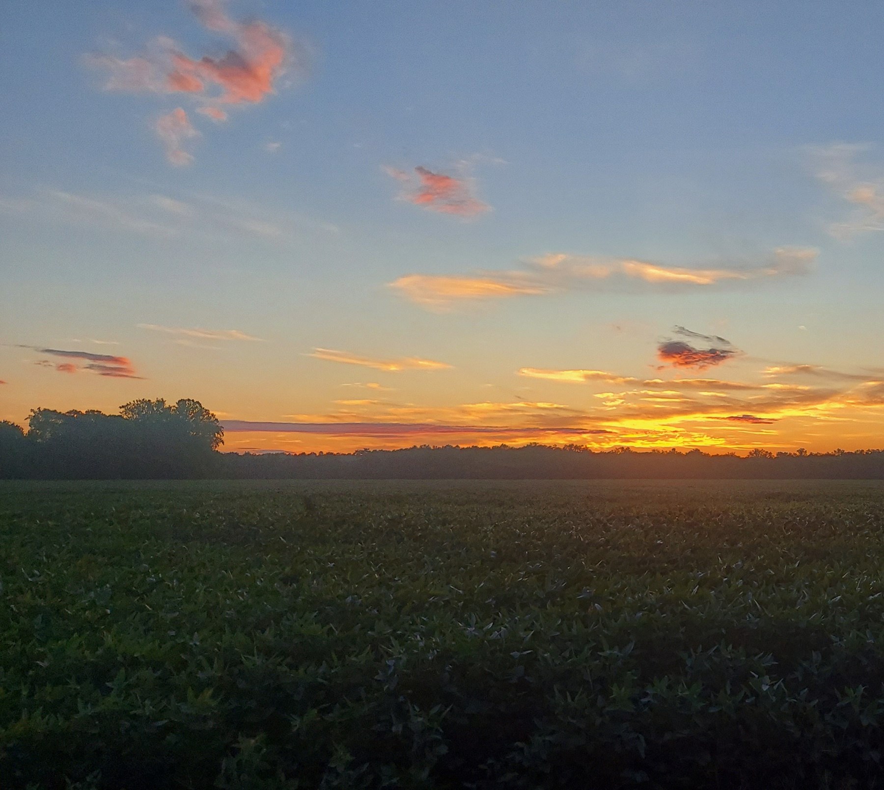 Gary Rose Obituary - Ashland, VA