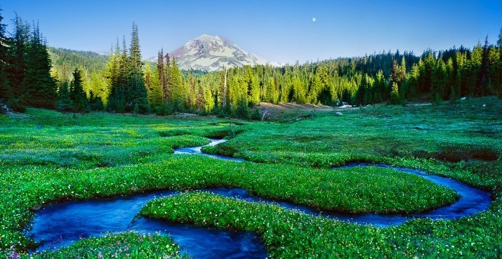 Steven Watson Obituary - Portland, OR