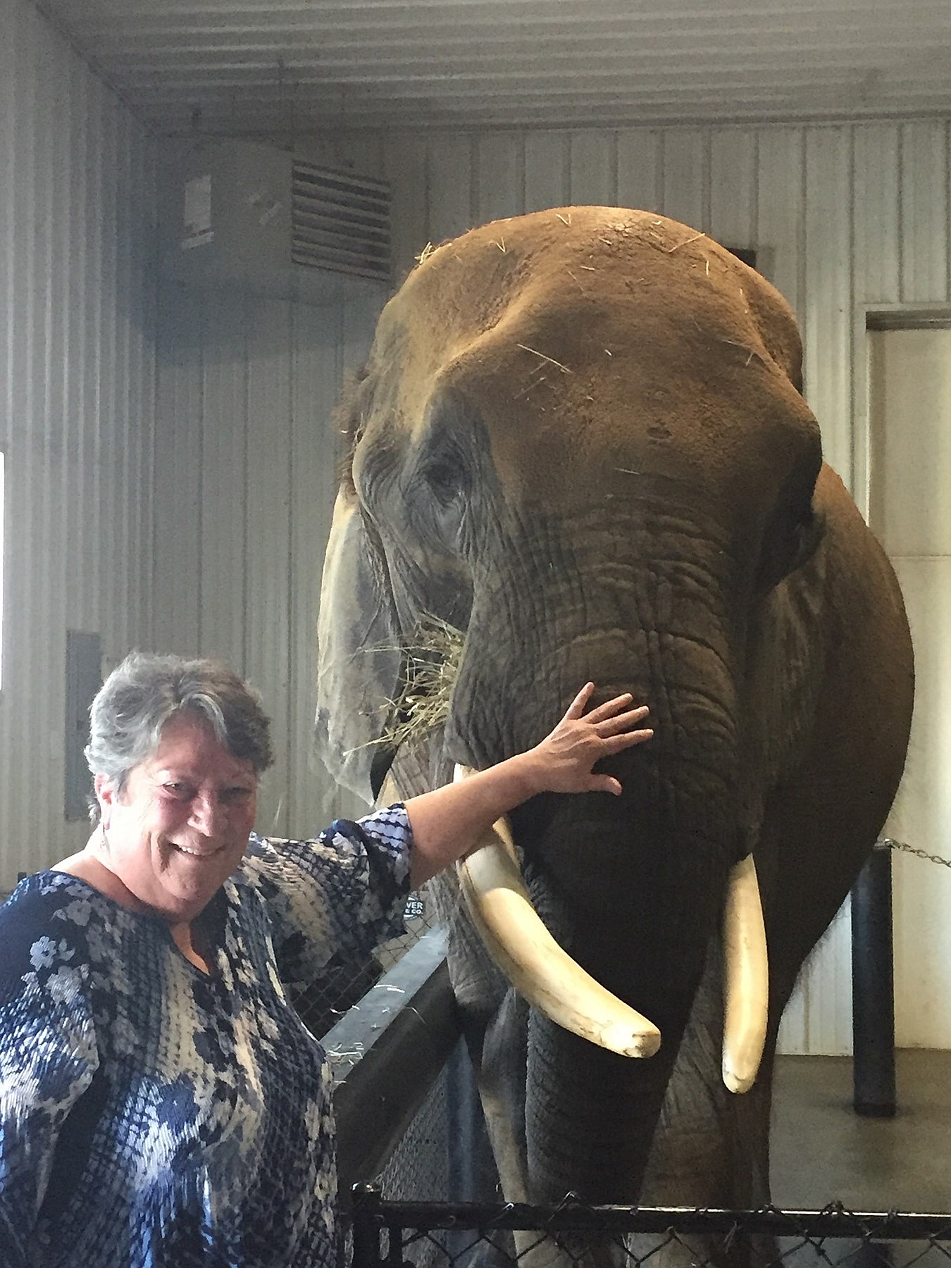 Nancy Roe Obituary - Longmont, CO