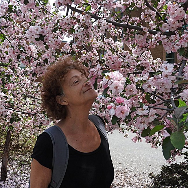 Marie-Andrée Beaudoin Obituary - Longueuil, QC