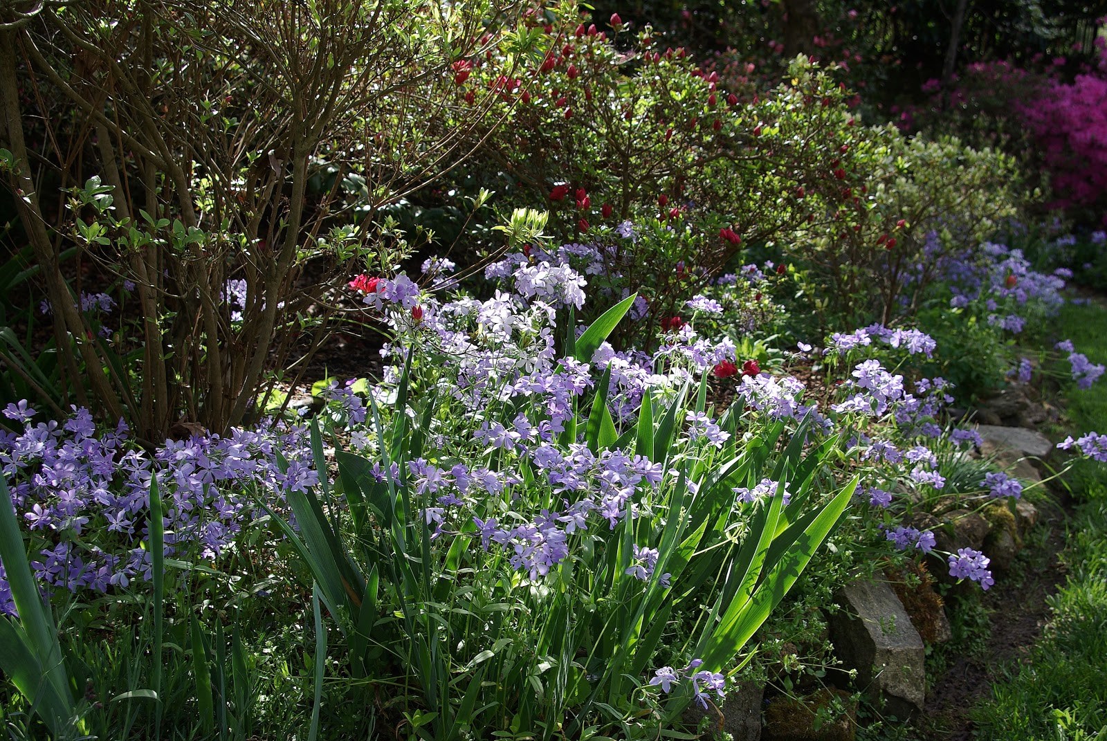 Barbara Roach Obituary - Salem, OR