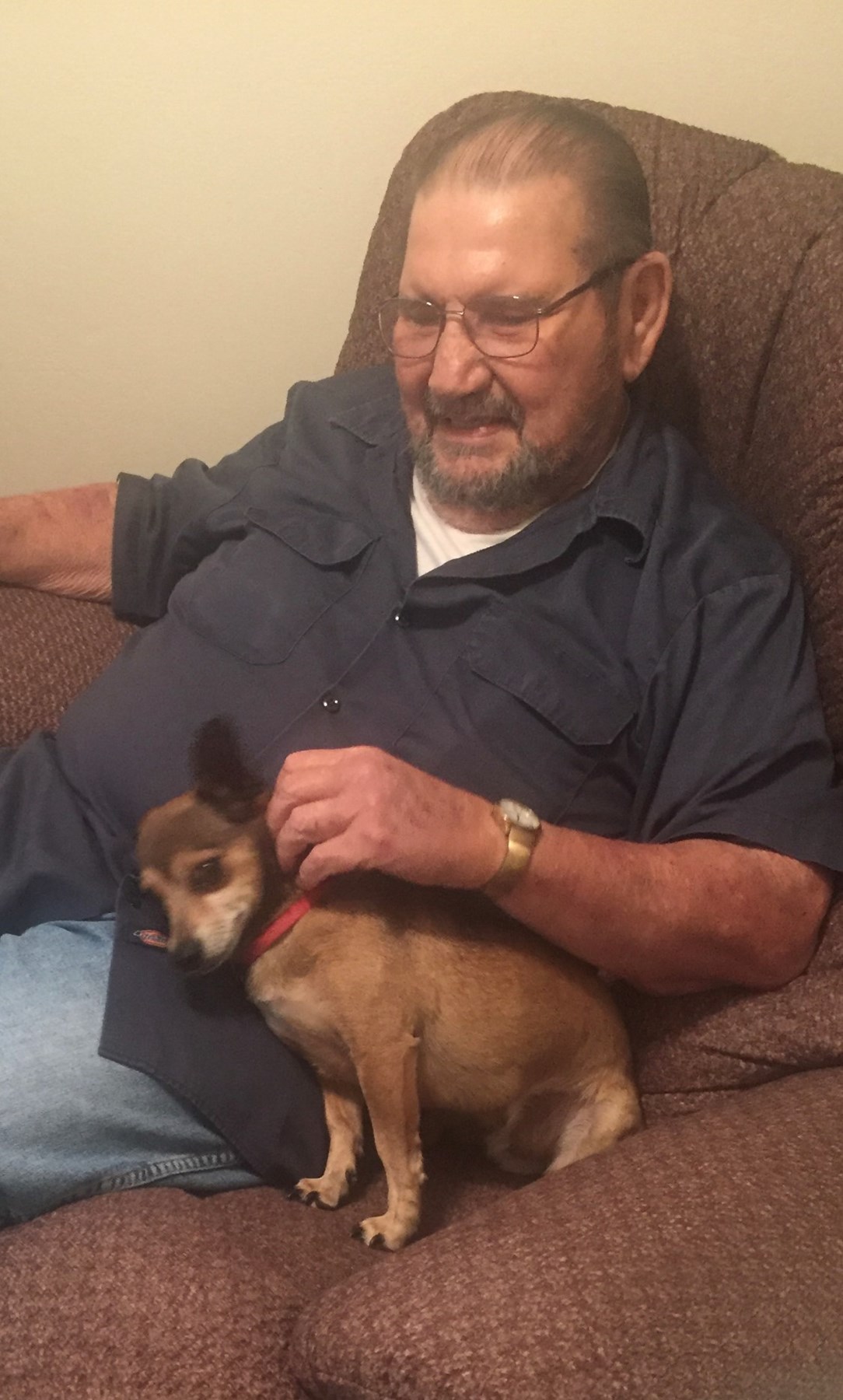 Steve LOUVIER Obituary - Houston, TX