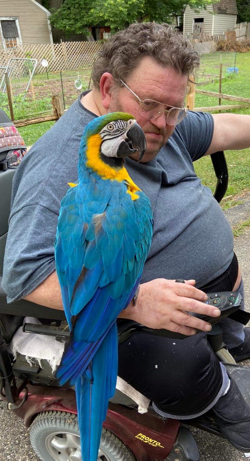 Carey Feazel Obituary - Lansing, MI