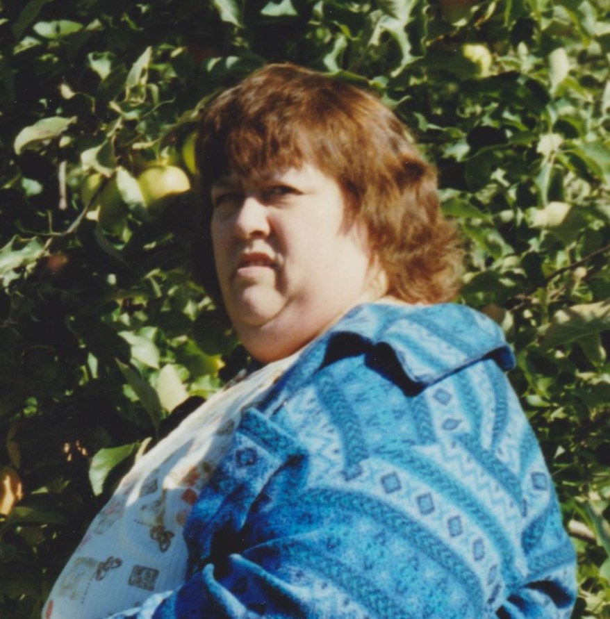 Debra Collins Obituary - Norwich, NY
