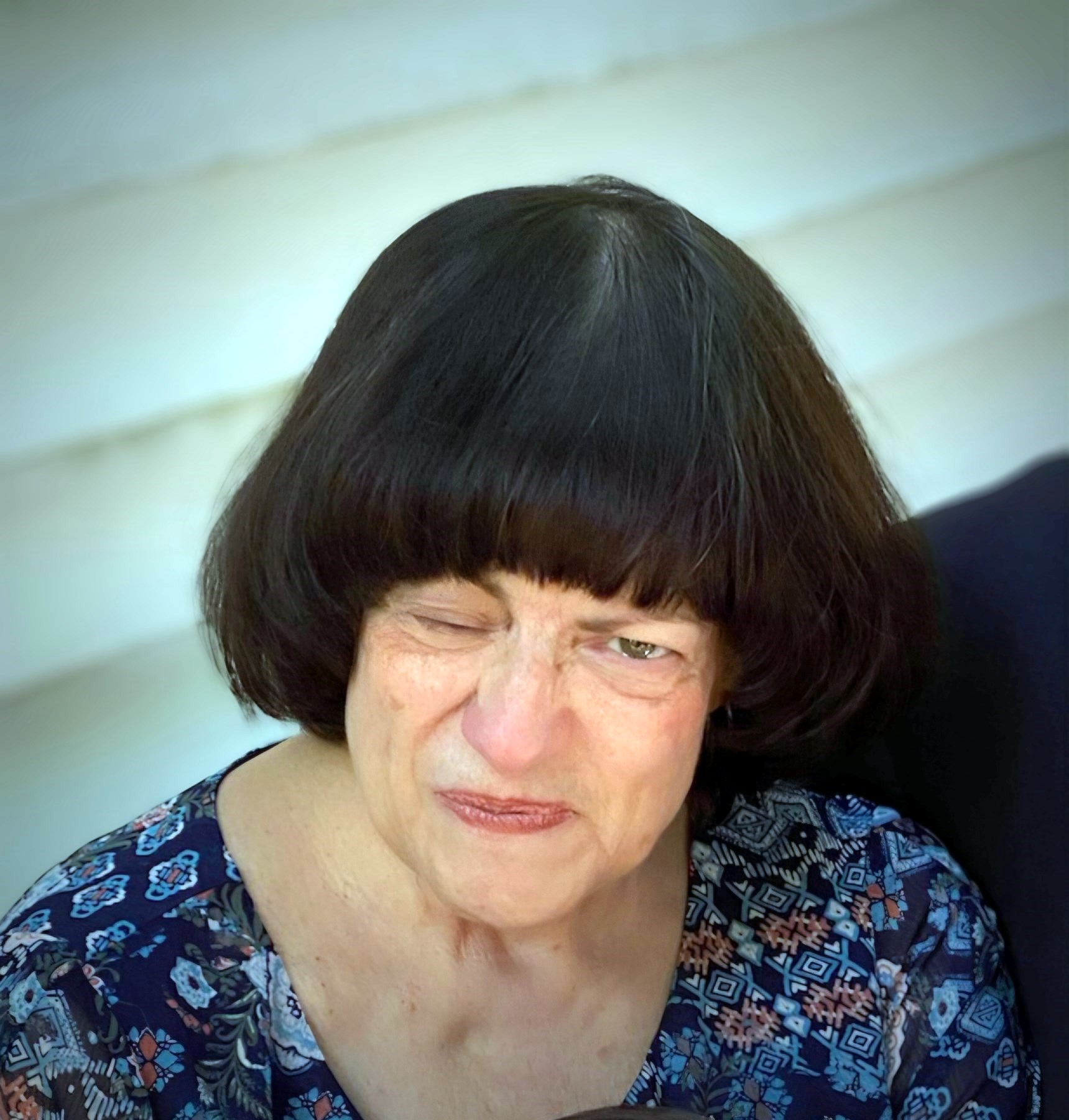 Deborah Levitz Obituary - Canton, MA