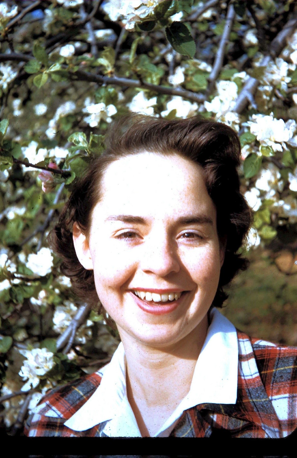 Shasta Wilson's Instagram, Twitter & Facebook on IDCrawl