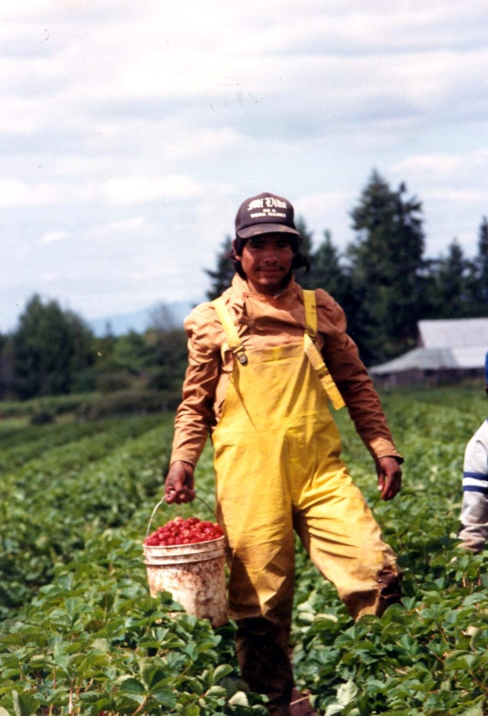 Mr. Tomas Melchor Cortes Guzman Obituary - Fresno, CA
