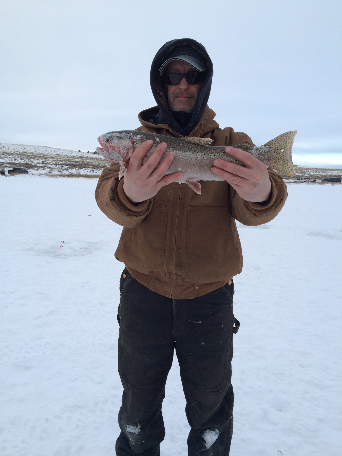 Kurt Koehler Obituary - Greeley, CO