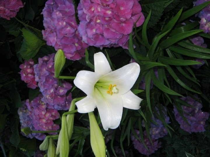 Naomi Tarvin Obituary - Gadsden, AL