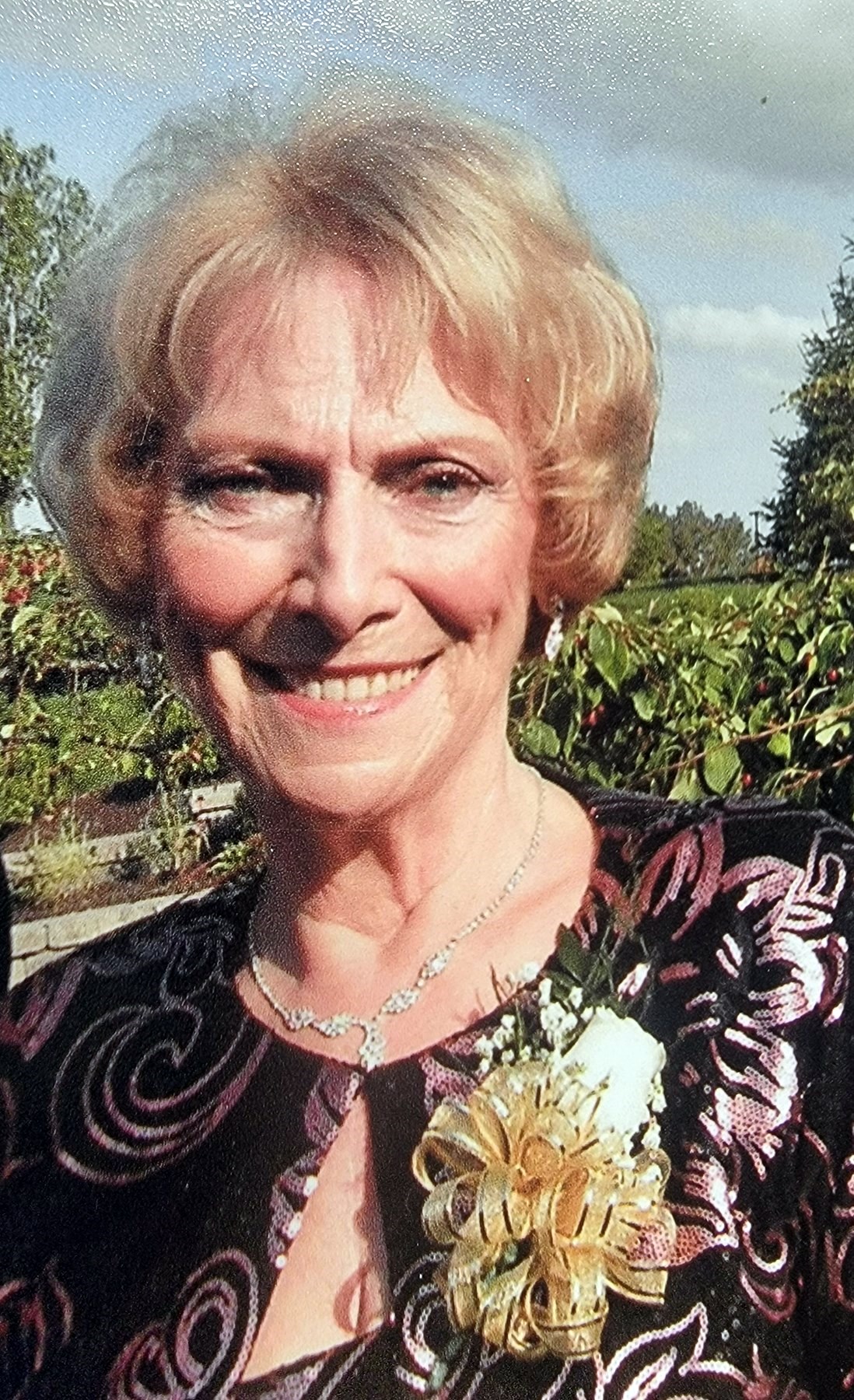 Virginia R. Roncevich Obituary - Rochester, PA