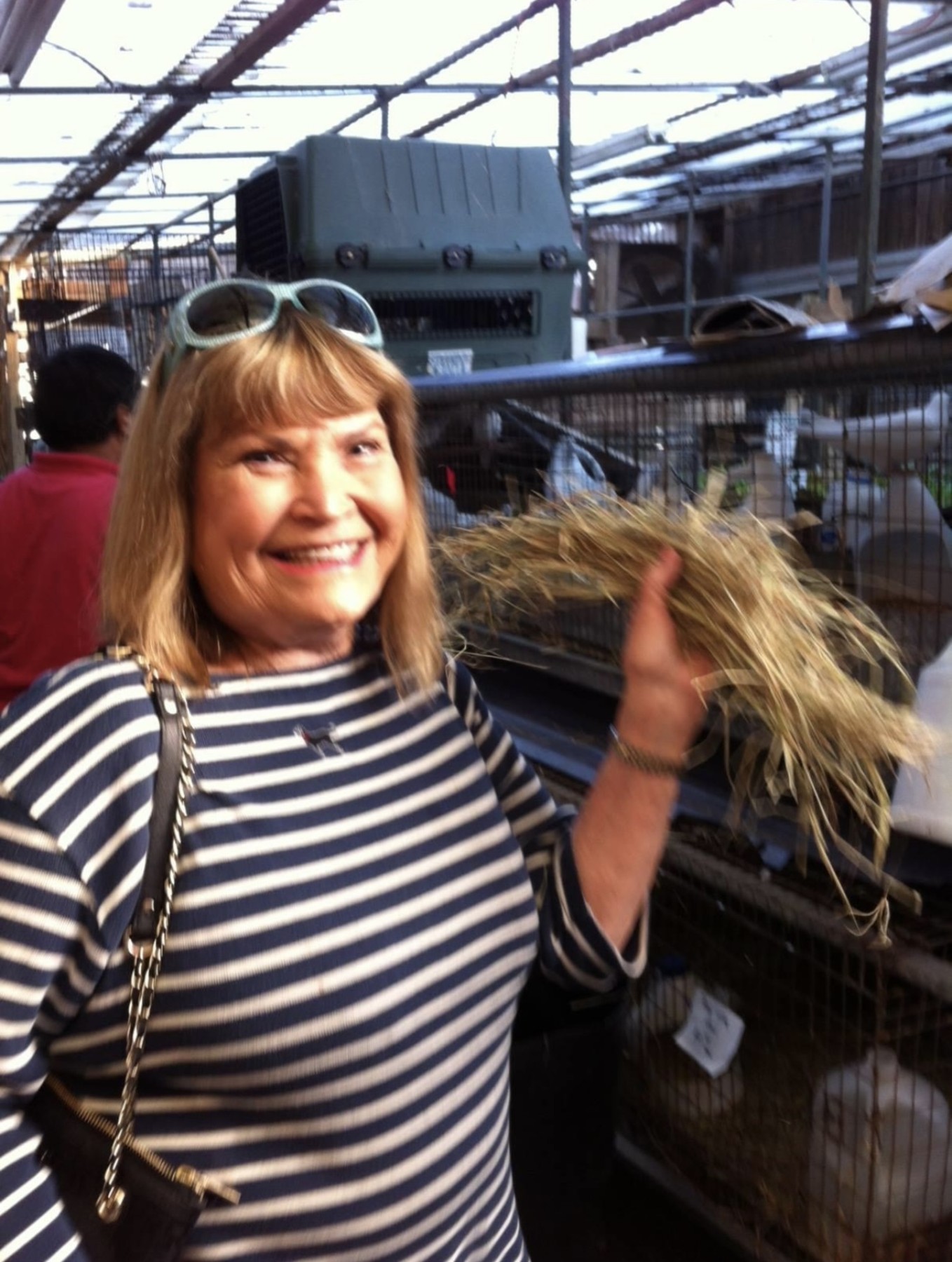 Mary Frances Fisher Obituary - Houston, TX