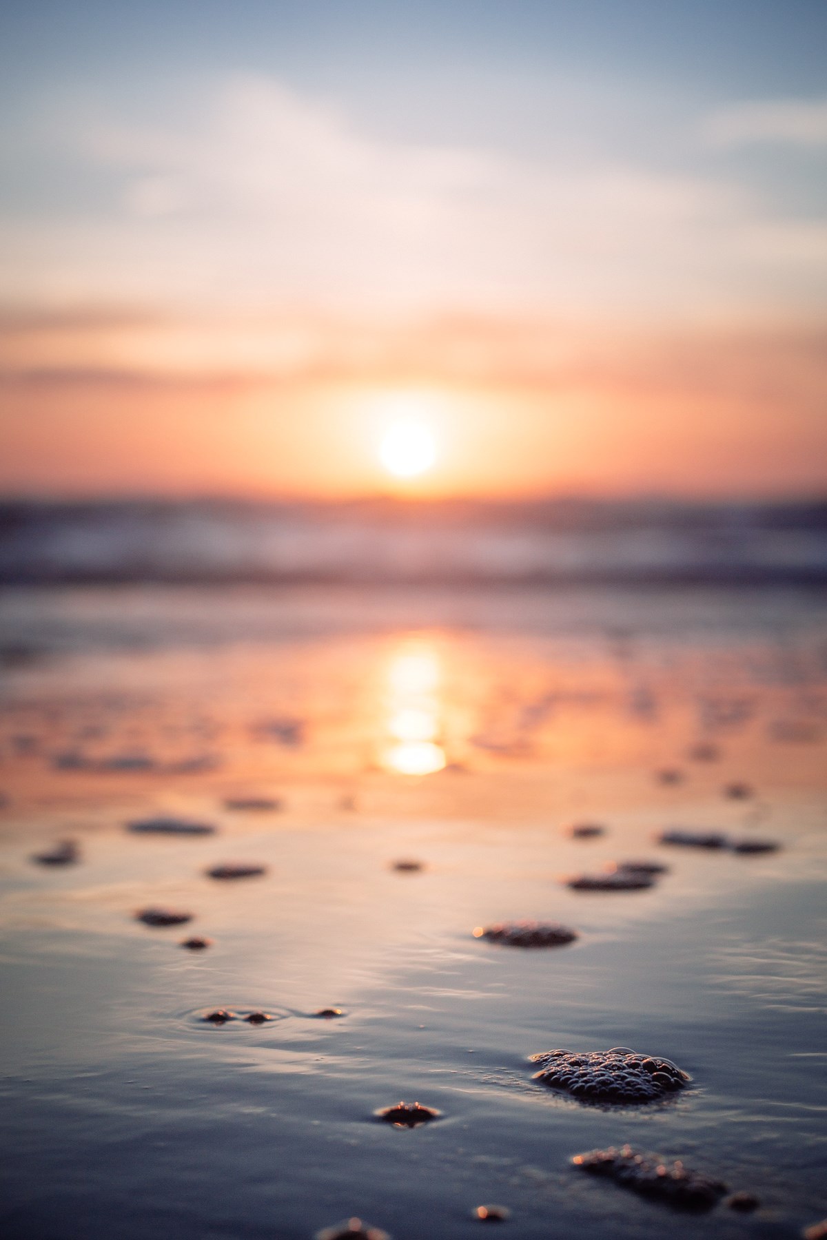 Barney Gabriel Marquez Obituary - Carrollton, TX