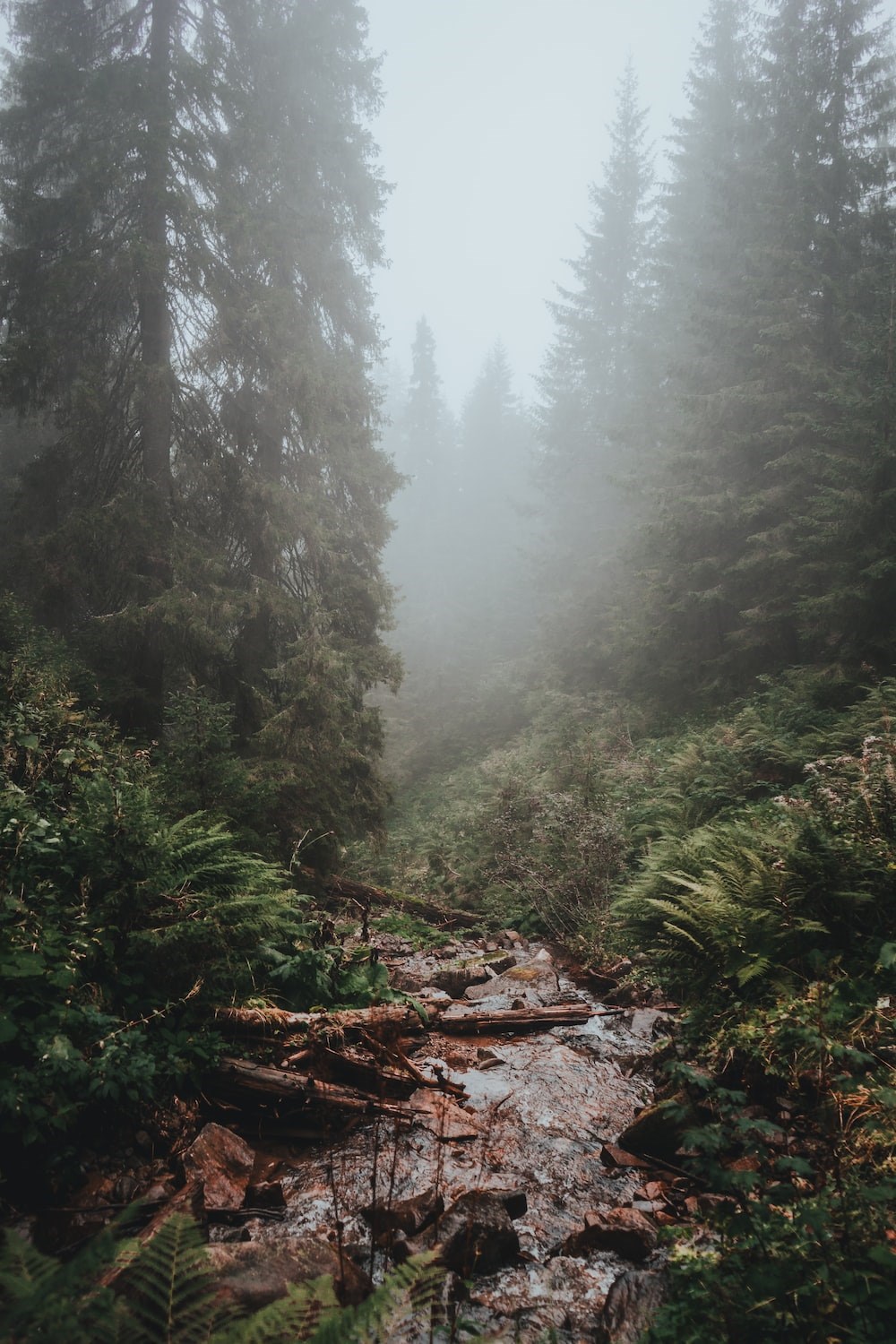 Alex Stephen Peters Obituary - Salem, OR