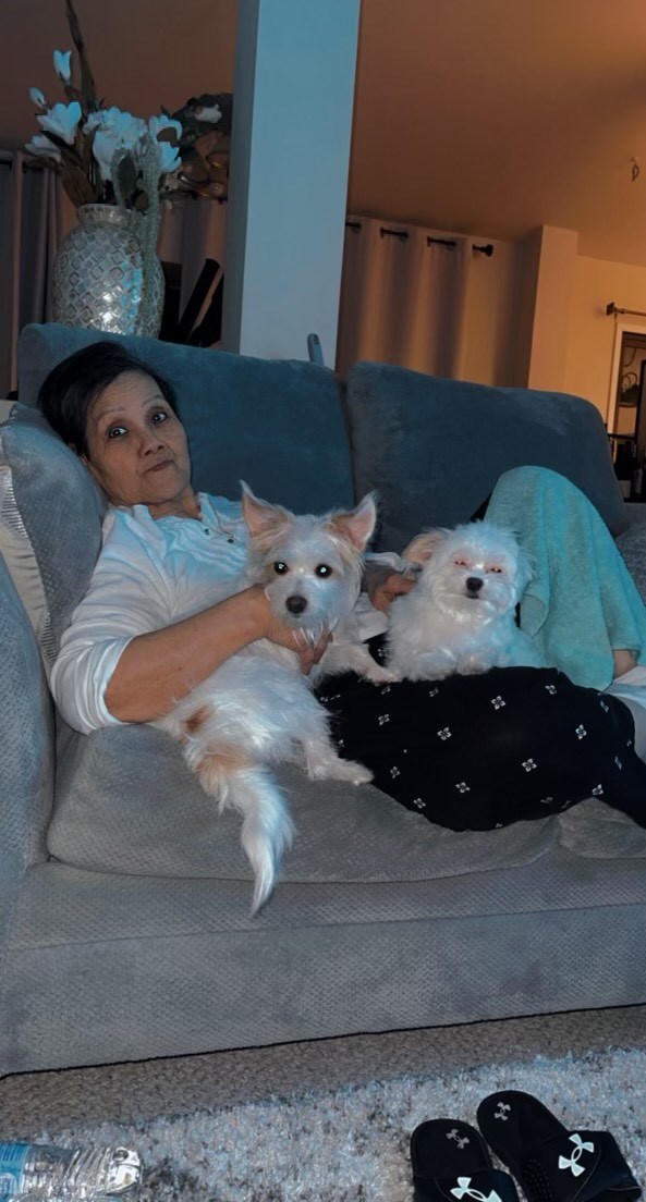 Lisa Grim Obituary - Tucson, AZ