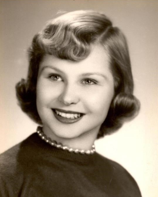 Diane Akers Obituary - Oak Lawn, IL