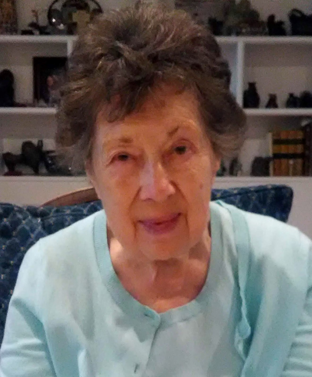 Alice Rubash Obituary - Wilmette, IL