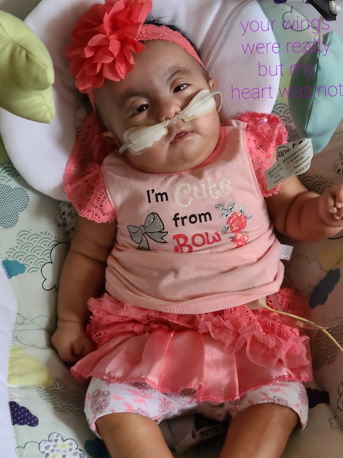Zoe Valentina Nava Morales Obituary - Fairfax, VA