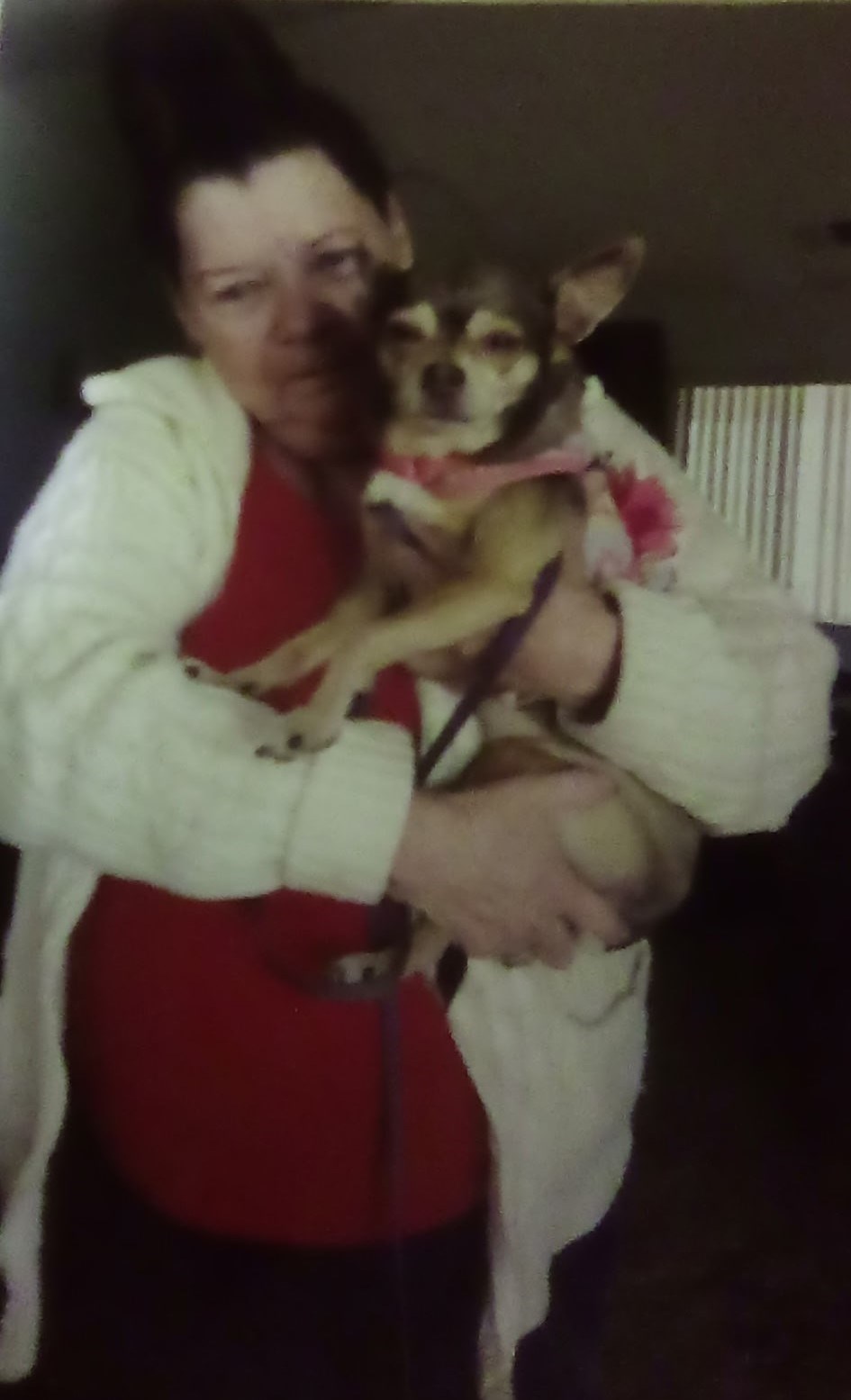 Sandra Sedillo Obituary - Apple Valley, CA