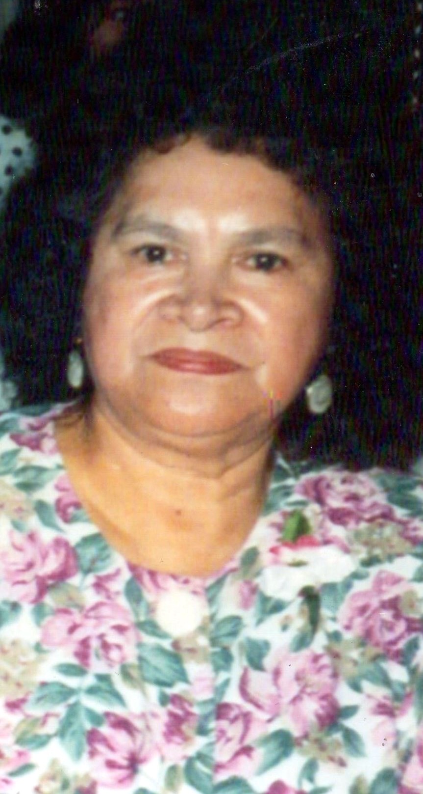 Francisca Arguelles Obituary - Houston, TX