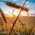 Lubbock, TX Obituaries Online | Find Lubbock Obituaries