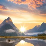 Find Obituaries & Funeral Services | Dignity Memorial