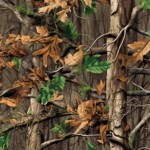 Boise, ID Obituaries | Find Boise Obituaries